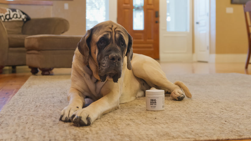 The Big Damn Dog Co.