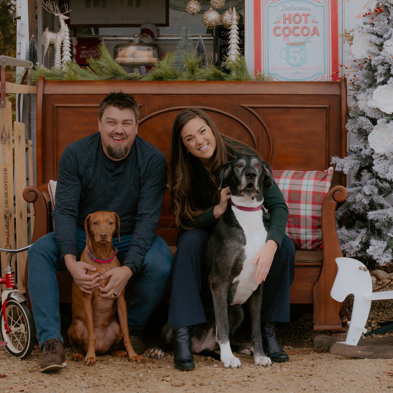 The Big Damn Dog Co.