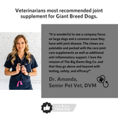 Giant Breed Hip & Joint – The Big Damn Dog Co.