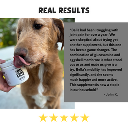 Giant Breed Hip & Joint – The Big Damn Dog Co.