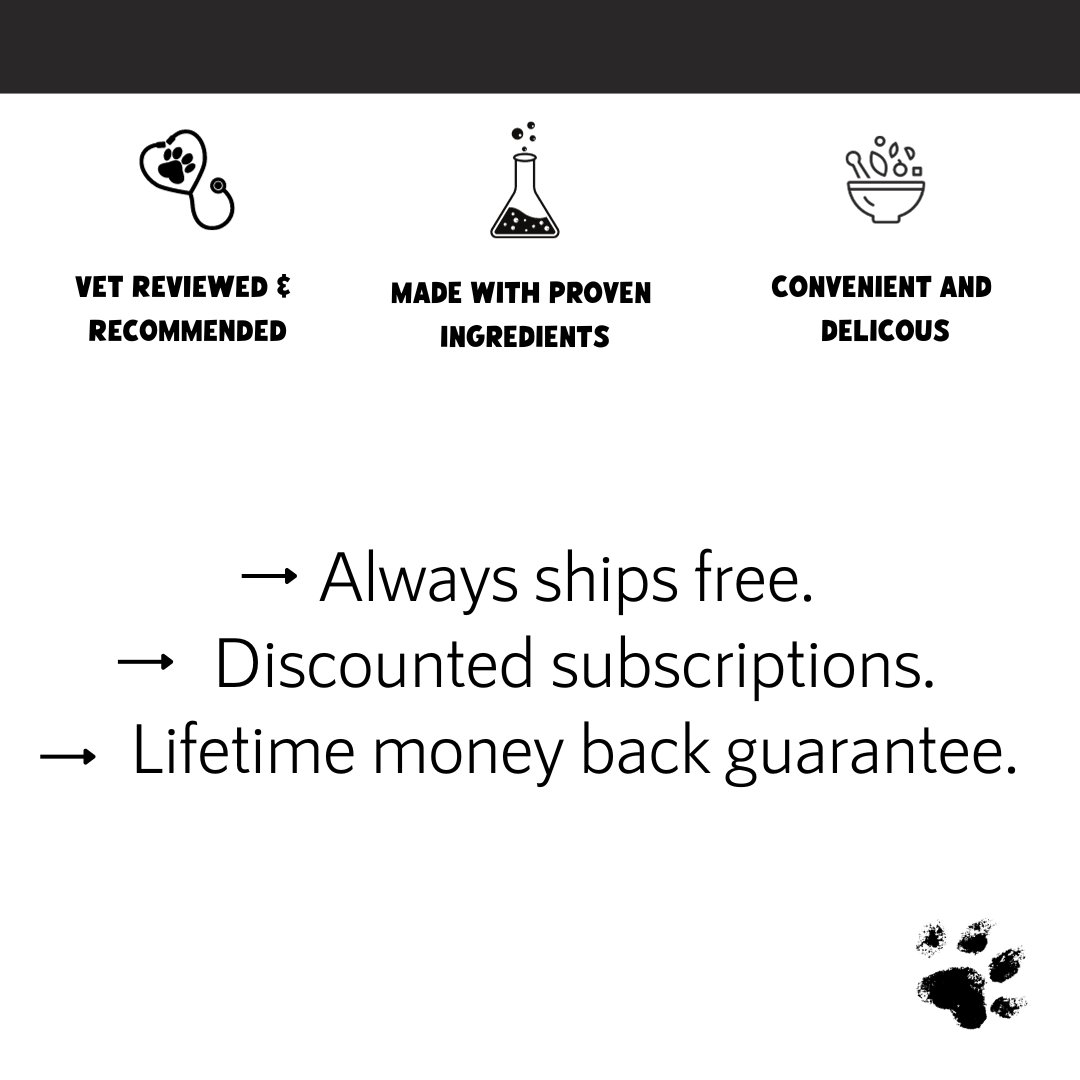 Giant Breed Hip & Joint – The Big Damn Dog Co.