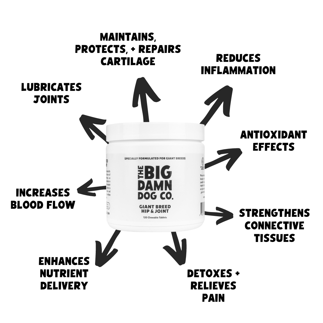 Giant Breed Hip & Joint – The Big Damn Dog Co.