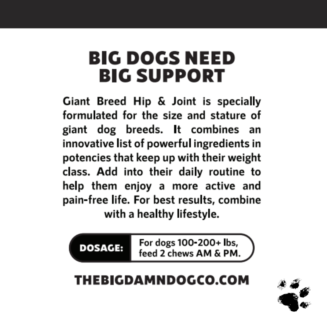 Giant Breed Hip & Joint – The Big Damn Dog Co.